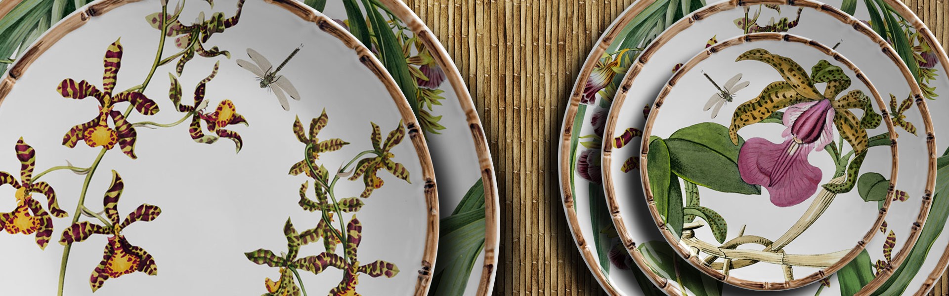 Linha Orquídeas - Maison Blanche